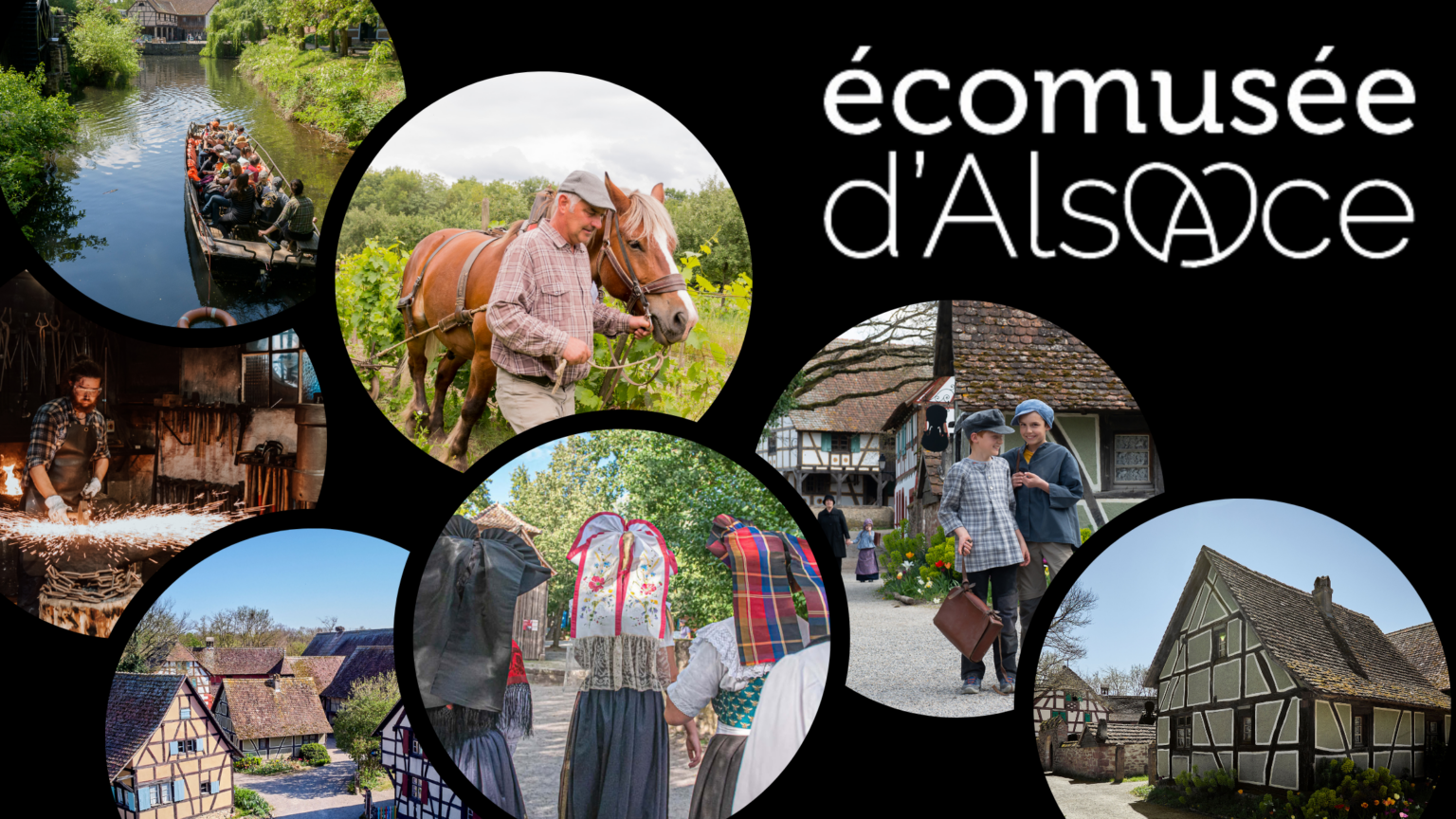 Layer cake anniversaire façon Linzertorte pour les 40 ans de l'Écomusée ...